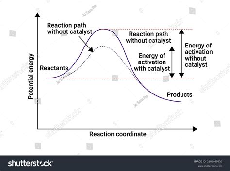 Graph Potential Energy Reaction Coordinate Stock Vector Royalty Free 2207049253 Shutterstock