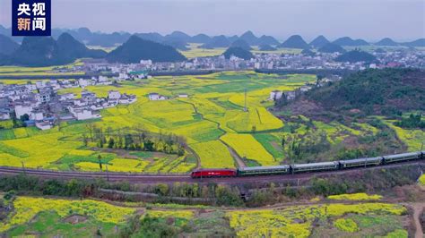 为花而来，云南铁路部门开行赏花专列 凤凰网视频 凤凰网