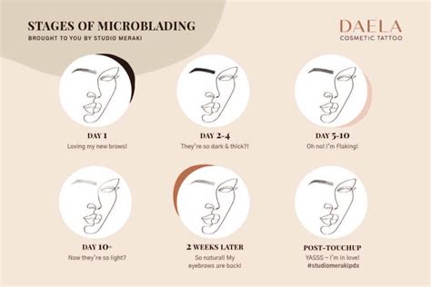 Microblading Healing Process And Stages Daela Cosmetic Tattoo