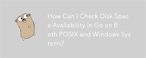 如何在 Posix 和 Windows 系統上檢查 Go 中的磁碟空間可用性？ Golang Php中文網