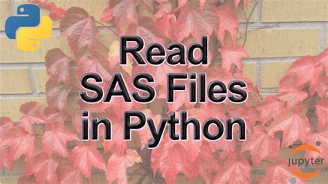 How To Read Sas Files In Python Step By Step Guide