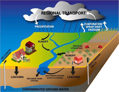 Pesticides In Water Pollution