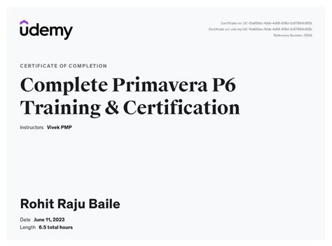 Primavera P6 Professional Rohit Raju Baile
