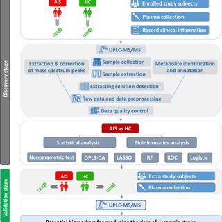 Body Height And Serum Concentrations Of Reproductive Hormones In Download Scientific Diagram