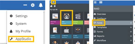 Adding And Editing Fields Softools