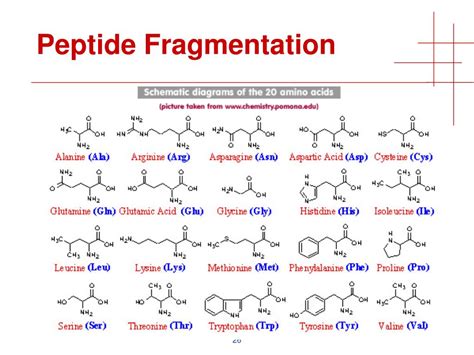 Ppt Protein Identification By Sequence Database Search Powerpoint Presentation Id6639047