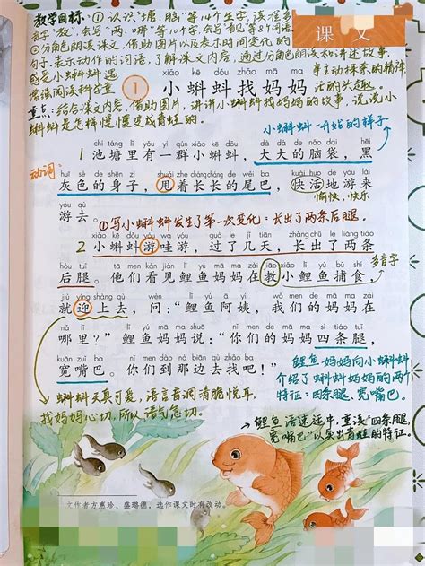 小蝌蚪找妈妈课文原文二年级语文上册《小蝌蚪找妈妈》 说明书网 小蝌蚪找妈妈课文原文二年级语文上册《小蝌蚪找妈妈》 说明书网