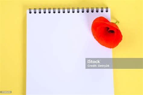 붉은 양 귀 비 꽃과 흰색 빈 노트에 노란색 파스텔 배경 텍스트에 대 한 공간을 복사 합니다 감사합니다에 대한 스톡 사진 및 기타 이미지 Istock
