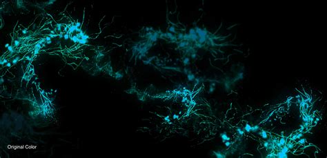 Cinematic Adobe After Effects Magical Particle Builder PIXFLOW