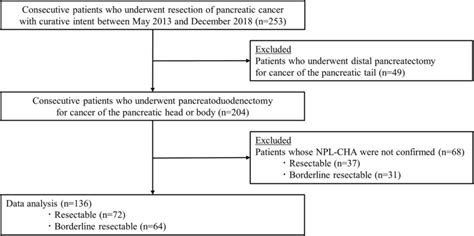 Flow Diagram Of The Patient Selection Npl Nerve Plexus Cha Common Download Scientific