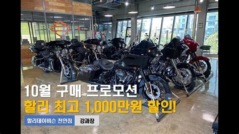 할리데이비슨 10월 프로모션 천안점 재고안내 및 구매 프로모션 Youtube