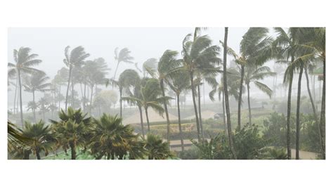 Worst Hurricanes In Florida How To Protect Your Home From Unprecedented Devastation