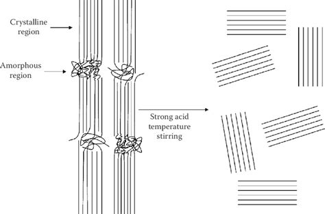 6 Isolation Of Cellulose Nanofibers A Schematic Representation Of