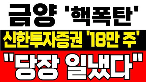 금양 주가 전망 음봉 신한투자증권 18만주 풀매수에 가격과 기간조정 완료 메리츠 1600억 매수 이미 4500억 유증과 몽골 해결 완료 대응필수 완벽분석