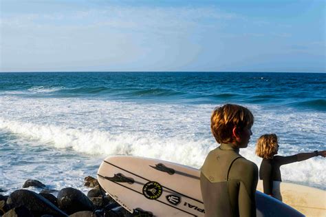 掌握论文框架搭建秘籍 茅茅虫论文写作