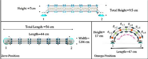 Figure 3 From Active Disturbance Rejection Controller For A Flexible Walking Bioinspired