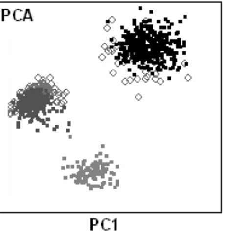 Sorting Result For Dataset 2 Which Consisted Of Three Different Spike Download Scientific