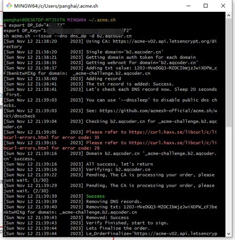使用 Dnsdp 自动申请证书时，出现 Invalid Domain新老鸟虚拟资源网