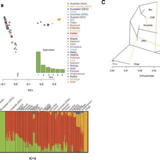Results Of The PCA ADMIXTURE And TreeMix Analyses Indicating Gene Download Scientific