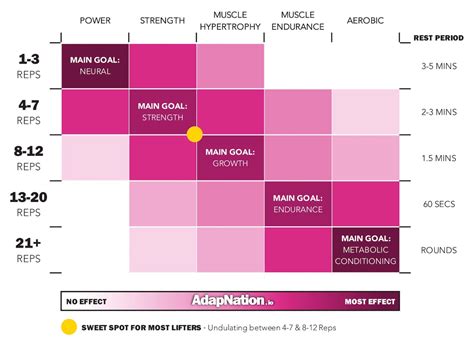 Which Rep Range Should You Use In The Gym Adapnation