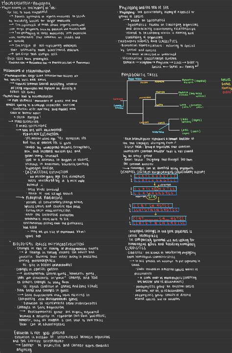Macroevolution BIOL Studocu