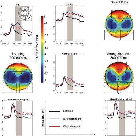 Alpha Ersp In Strong And Weak Distractor Conditions Alpha Download Scientific Diagram