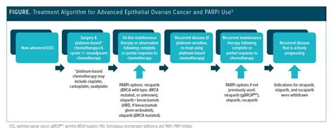 Clinical Insights Into Advancements In Epithelial Ovarian Cancer Treatment