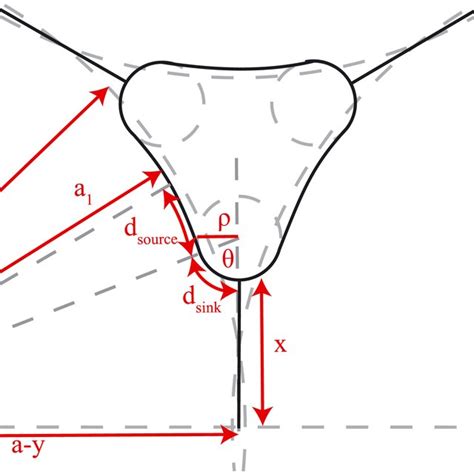 Diagram Of Geometrical Parameters In A 2‐d Cross Section Of Two