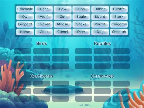 Classifying Animals Group Sort Classifying Animals Group Sort