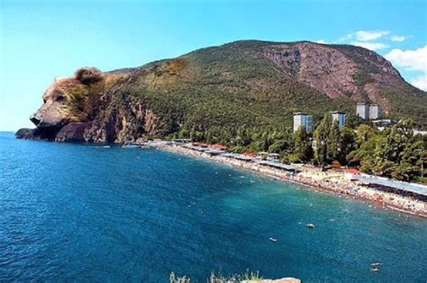 შავი ზღვა საბრთხეები ფლორა და ფაუნა