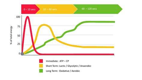 Sprinting Aerobic Or Anaerobic Energy Systems Azide Performance