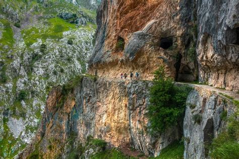 무료 사진 나무 돌 자연 나무 산 물 조 경 절벽