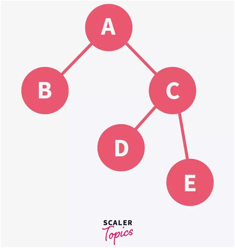 heap data structure scaler topics