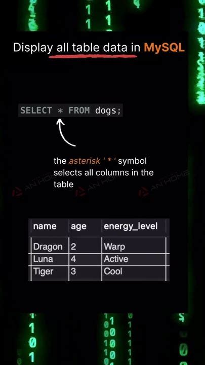 Python Sql Programming Nextgp Anhome 🔥 Youtube