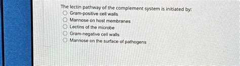 Solved The Lectin Pathway Of The Complement System Is Initiated By Gram Positive Cell Walls