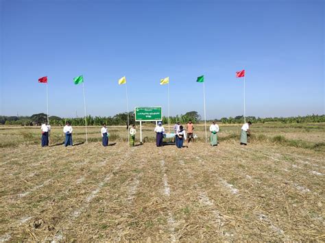 ငပုတောမြို့၌ ဆောင်းဆီထွက်သီးနှံ နေကြာ ထွန်တုံးပိတ် စိုက်ပျိုးပွဲ အခမ်းအနားကျင်းပ Information