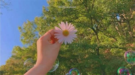 Playlist 오늘은 왠지 기분 좋은 일들만 있을 것 같아🌸💝 봄에 기분좋게 듣기 좋은 설레는 국내 노래 모음 노동요 카페 매장음악 플레이리스트 Youtube