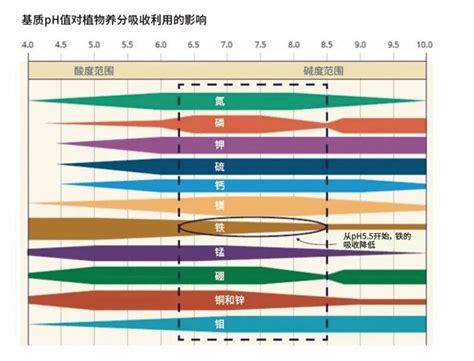 植物能否获得足够的养分取决于土壤和灌溉水的pH值 农业天地网