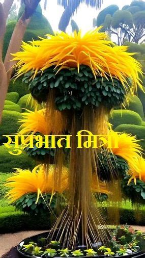 Satya Prakash Dubey On Linkedin सुप्रभात मित्रो