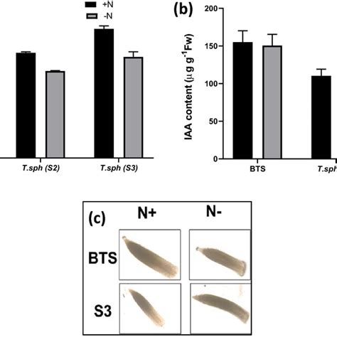 Effect Of Nitrogen Deficient 0 05 Mm Nitrate N− And Nitrogen Download Scientific Diagram