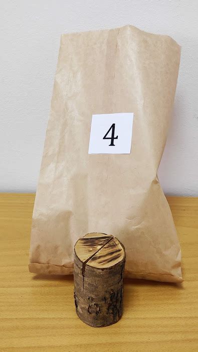 Бинарни уроци Частна профилирана гимназия Райко Цончев