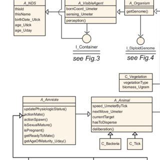 UML Based Class Diagram Describing Agents Within The Model As Download Scientific Diagram