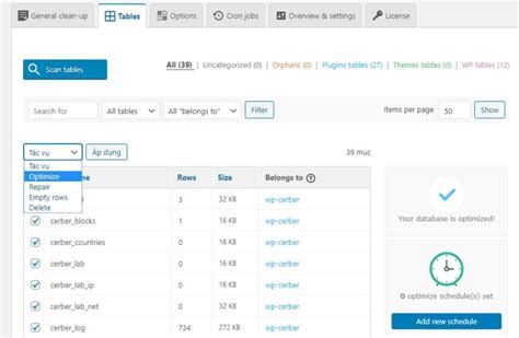 Advanced Database Cleaner Plugin Hoàn Hảo để Tối ưu Và Dọn Dẹp Db