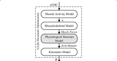 Overview Of The Continuous Motion Estimation Model Cmem Download Scientific Diagram