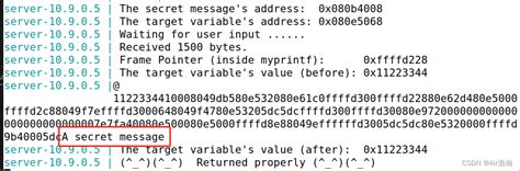 Seedlabs Format Stringseedlibs Csdn博客