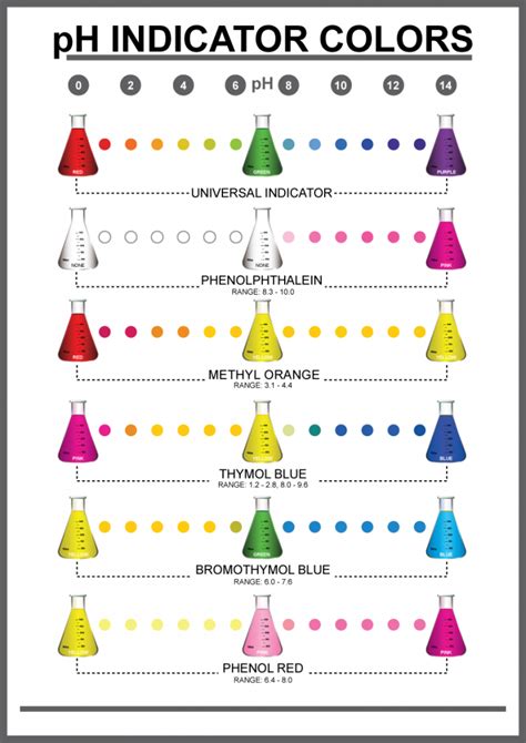 Acid And Base Indicators Lab Activity ITeachly Com