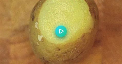 Volcano Potatoesyummy  On Imgur