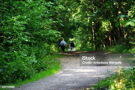 노인 부부의 숲 길을 따라 걷고있다 노인의 활동적인 라이프 스타일 남자에 대한 스톡 사진 및 기타 이미지 남자 남편 사진 이미지 Istock