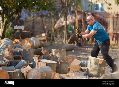 Lumberjack Splitting Beech Wood Logs For Firewood Stock Photo Alamy