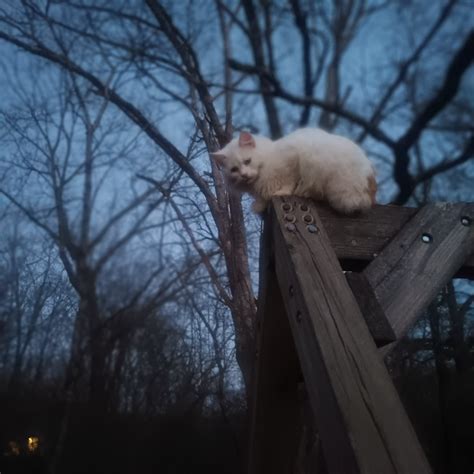 The Tiniest Of Units